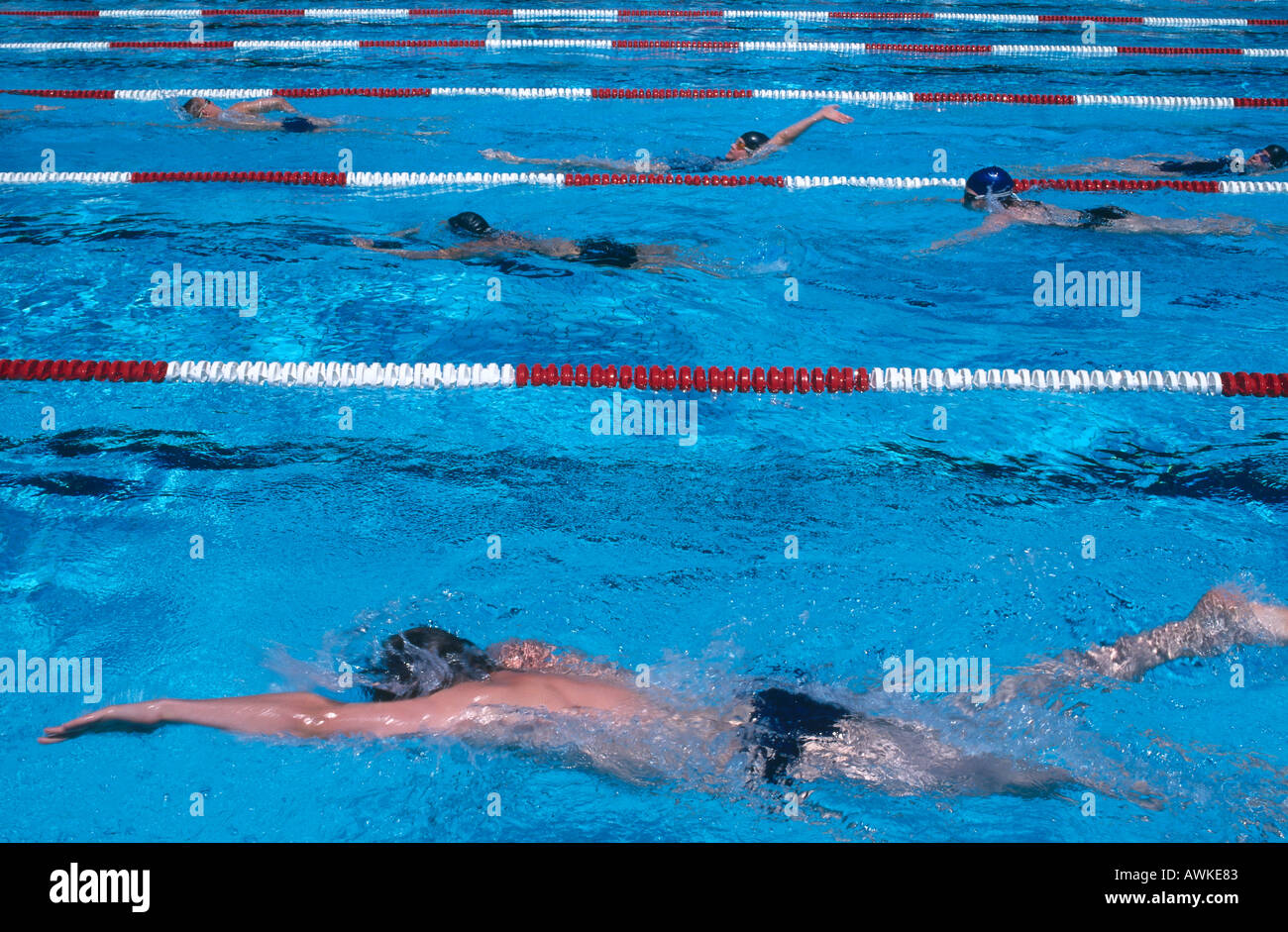 Swimmers swimming in swimming pool Stock Photo - Alamy