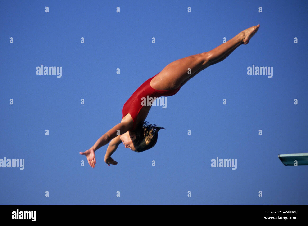 Female diver board hi-res stock photography and images - Alamy