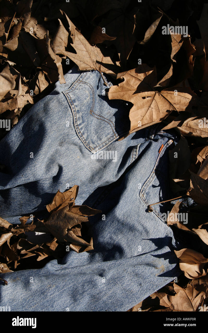 Undergrowth dead leaves abuse hi-res stock photography and images - Alamy