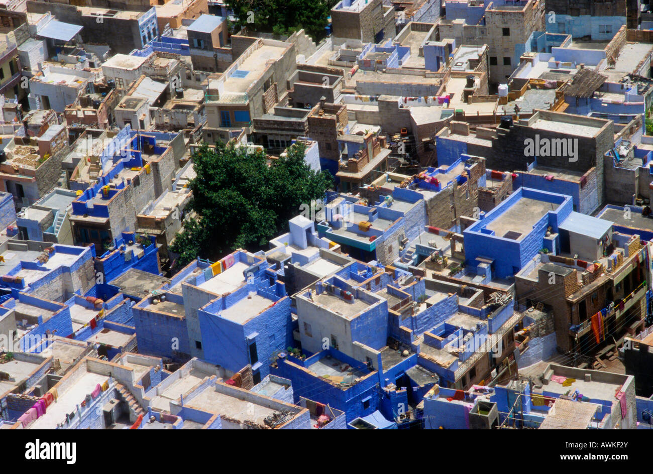 Blue houses of Jodhpur seen from Mehrangarh fort in Rajasthan, India ...