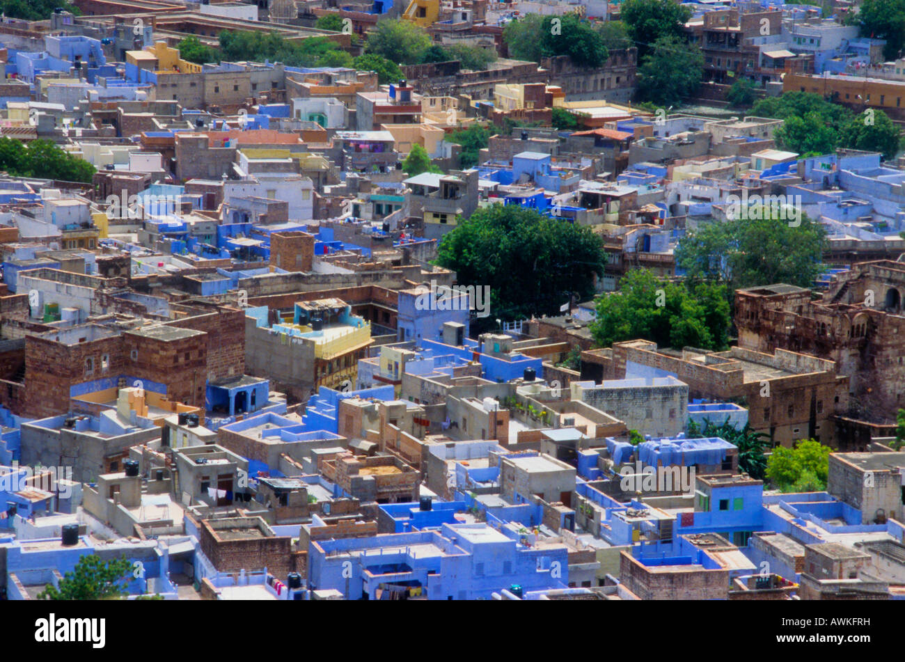 Blue houses of Jodhpur seen from Mehrangarh fort in Rajasthan, India ...