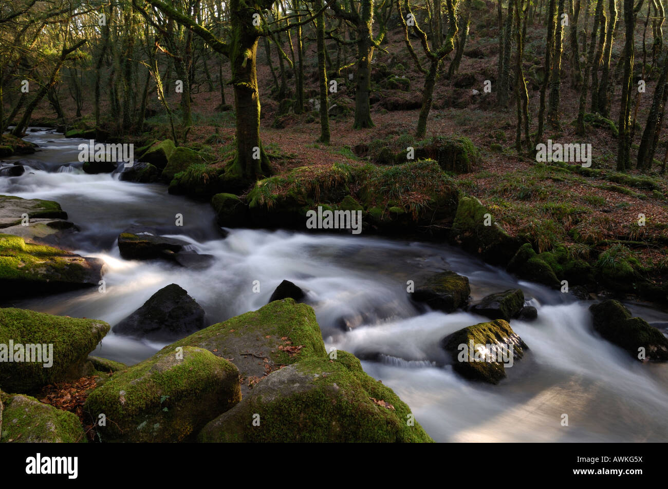 Golitha Falls Bodmin Stock Photo - Alamy
