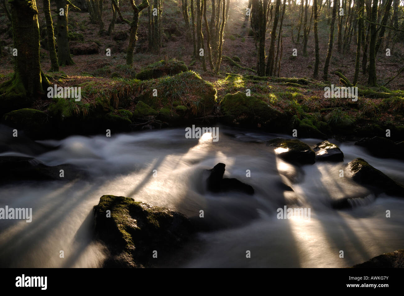 Golitha Falls Bodmin Stock Photo - Alamy
