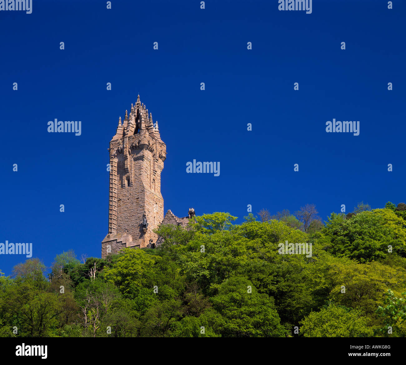 The National Wallace Monument on Abbey Craig, City of Stirling ...