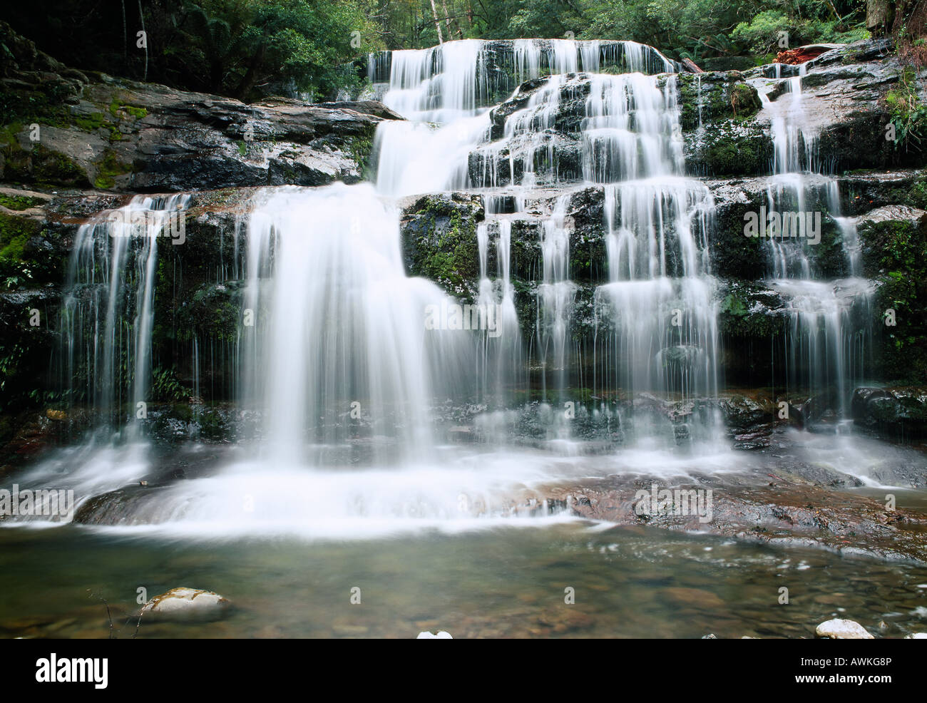 Liffey Falls Tasmania Stock Photo - Alamy