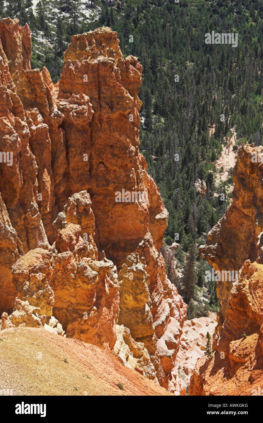 Bryce Canyon from Ponderosa Point, Utah Stock Photo - Alamy