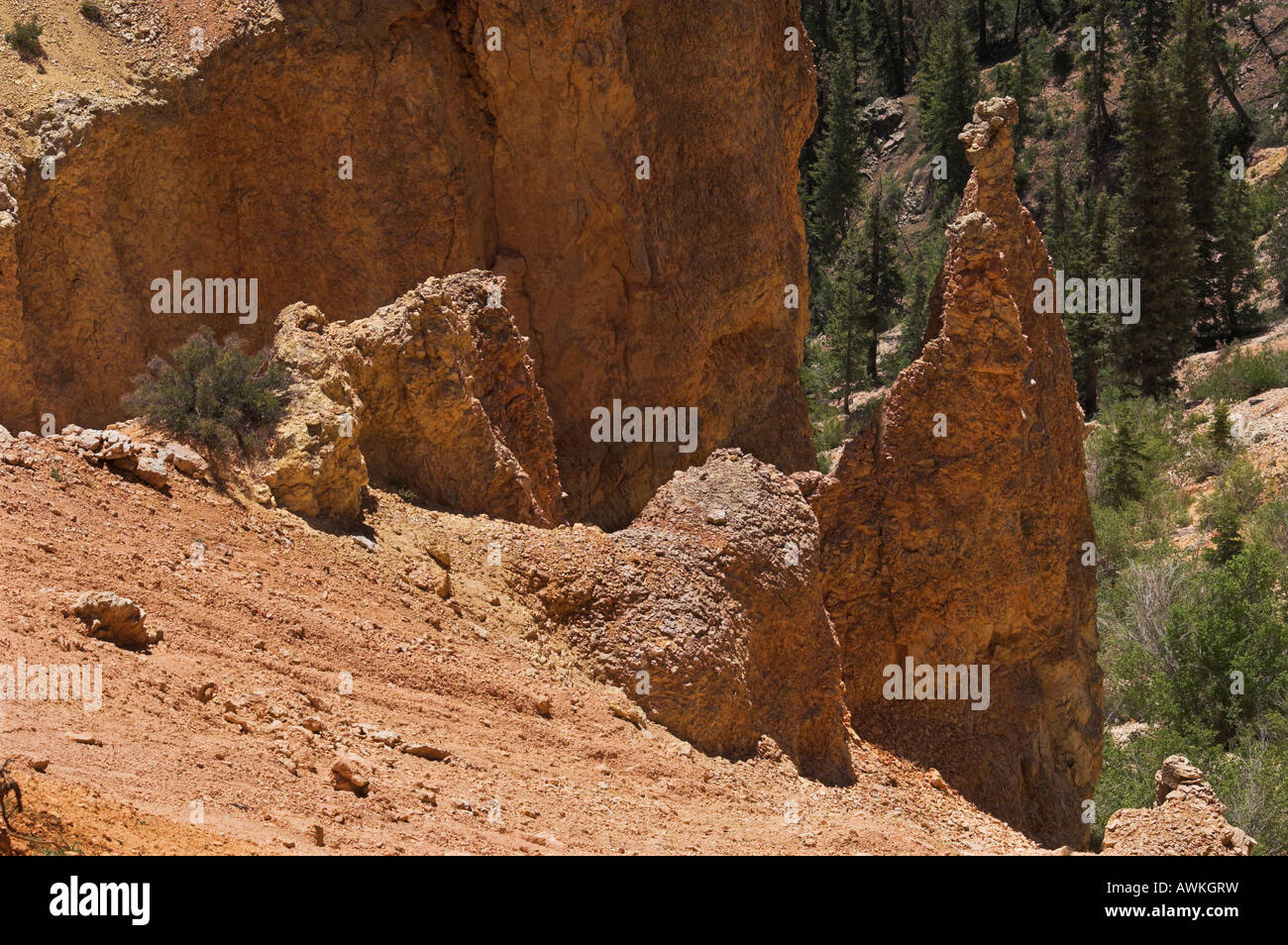 Bryce Canyon from Black Birch Point, Utah Stock Photo - Alamy