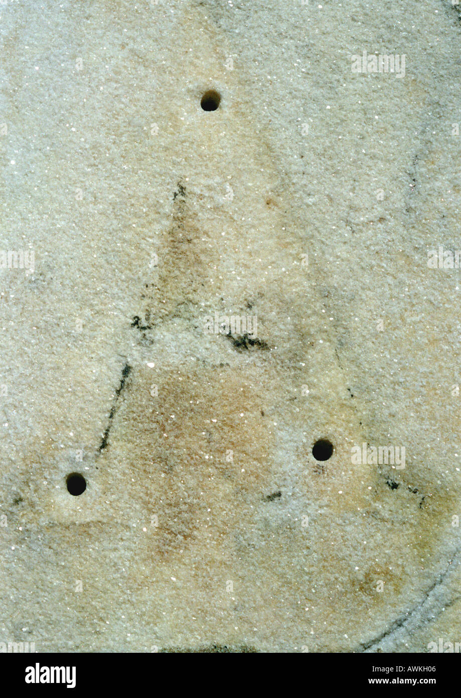 Faint letter hi-res stock photography and images - Alamy