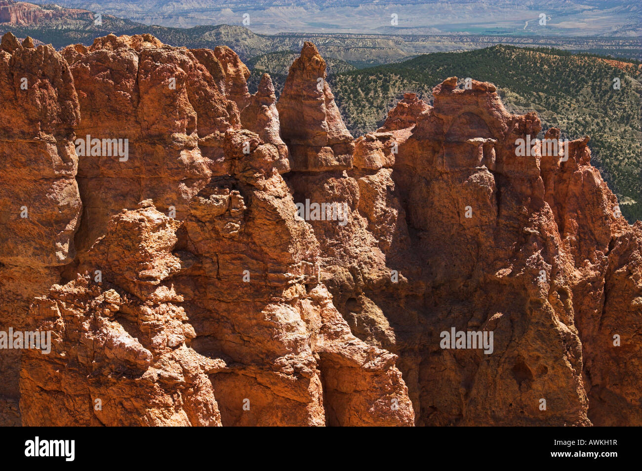 Bryce Canyon from Black Birch Point, Utah Stock Photo - Alamy