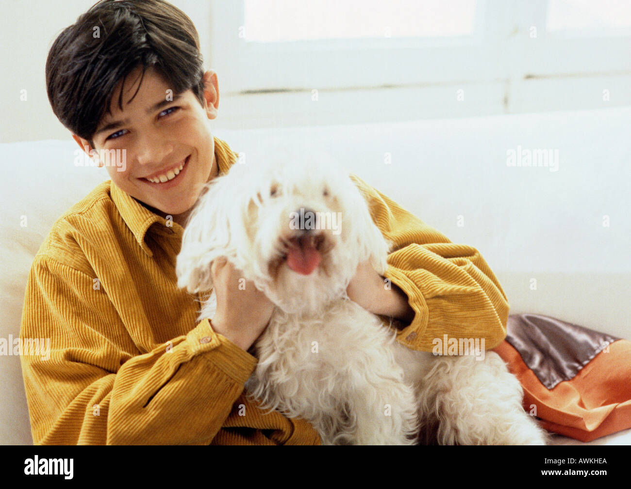 Young man posing with a dog on couch, portrait Stock Photo - Alamy