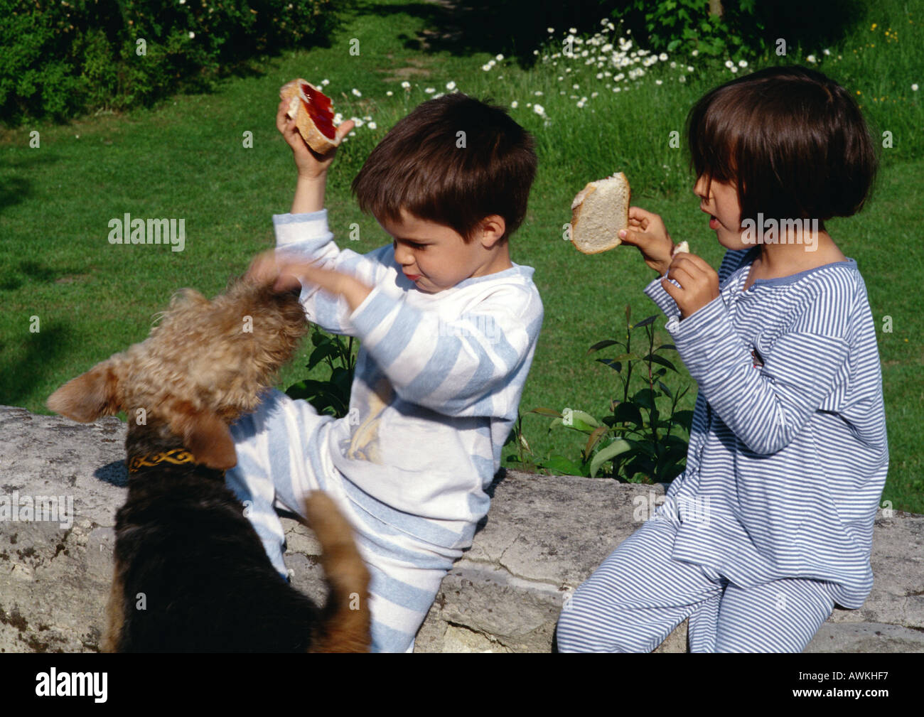 Young children playing outside with dog Stock Photo - Alamy