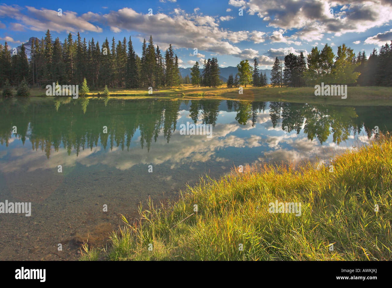 Shallow lake in mountains and woody coast reflected in water Stock ...