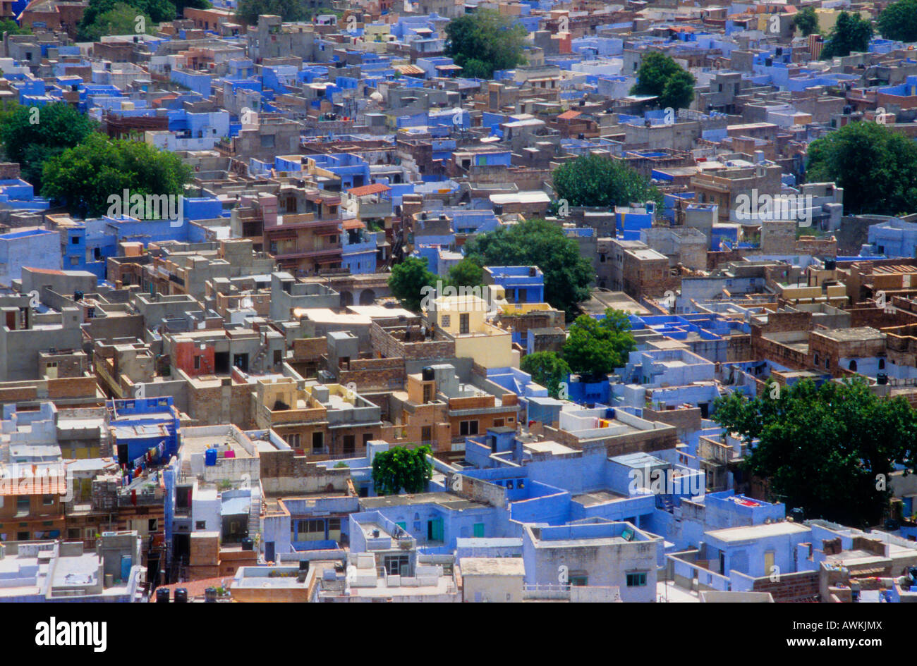 Blue houses of Jodhpur seen from Mehrangarh fort in Rajasthan, India ...