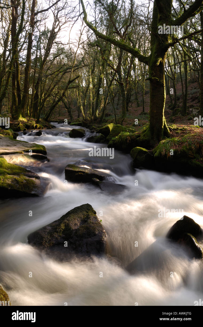 Golitha Falls Bodmin Stock Photo - Alamy