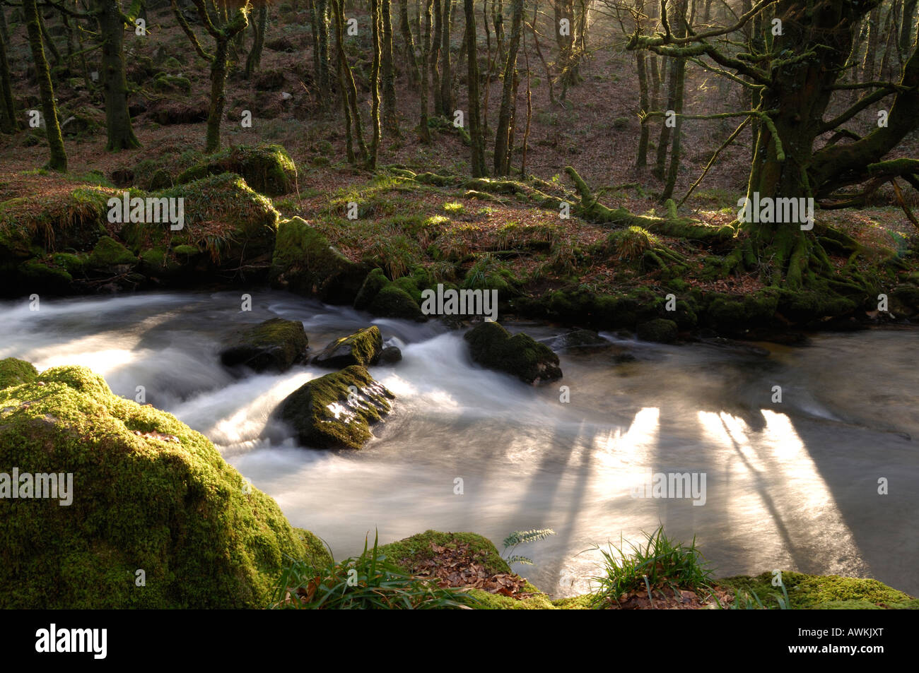 Golitha Falls Bodmin Stock Photo - Alamy