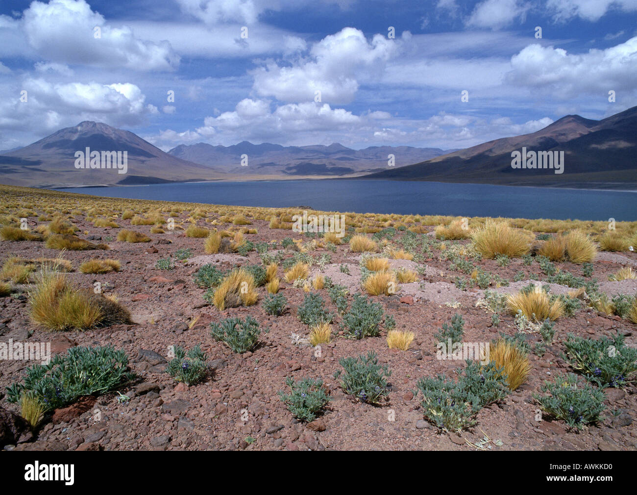 Chile, El Norte Grande, arid landscape with mountains and small lake ...