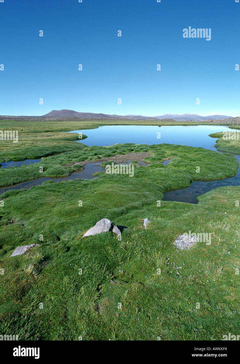 Chile, El Norte Grande, landscape Stock Photo - Alamy