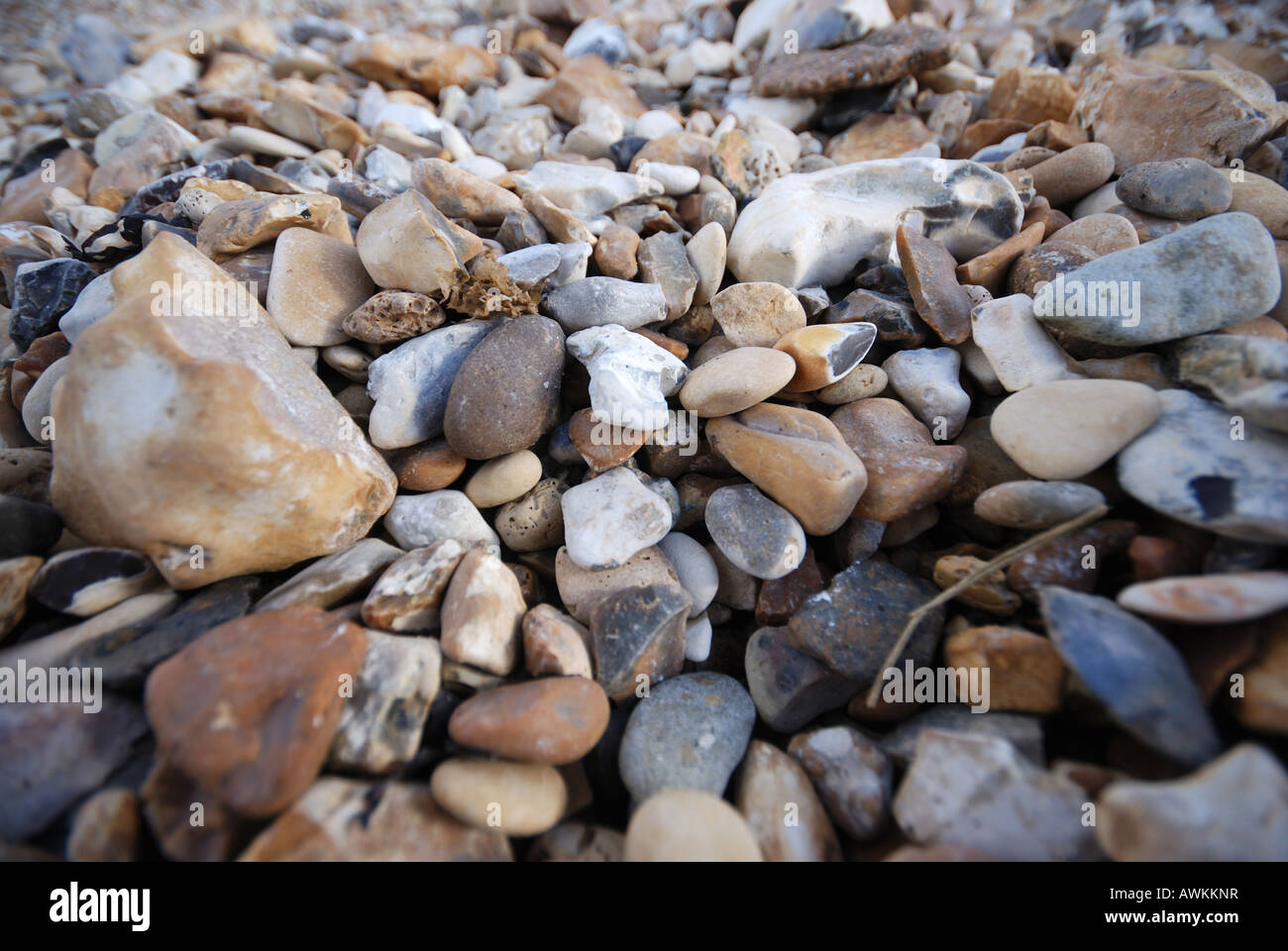 Stones on the beach at whitstable kent Stock Photo - Alamy