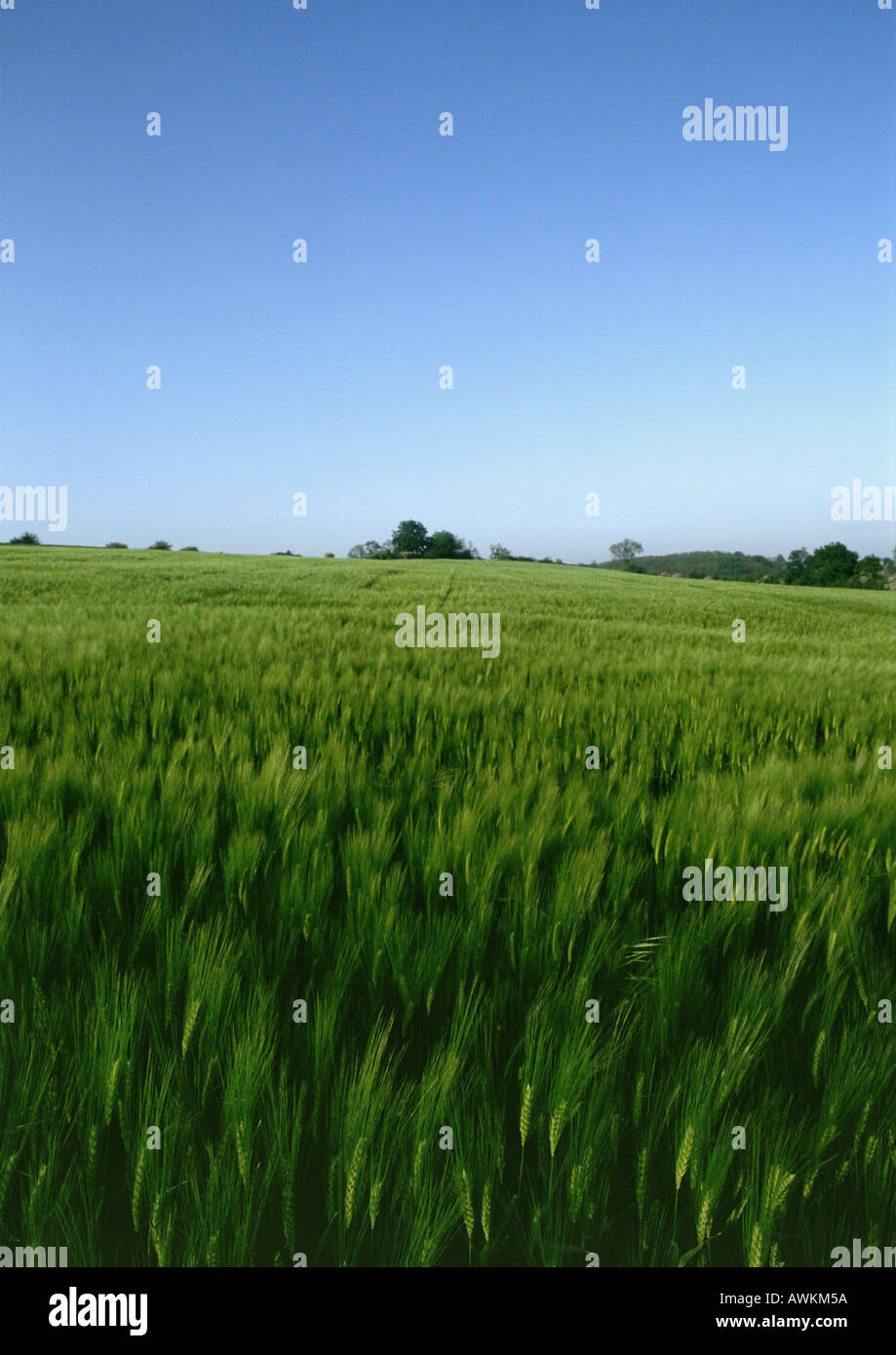 Picardy scenery hi-res stock photography and images - Alamy
