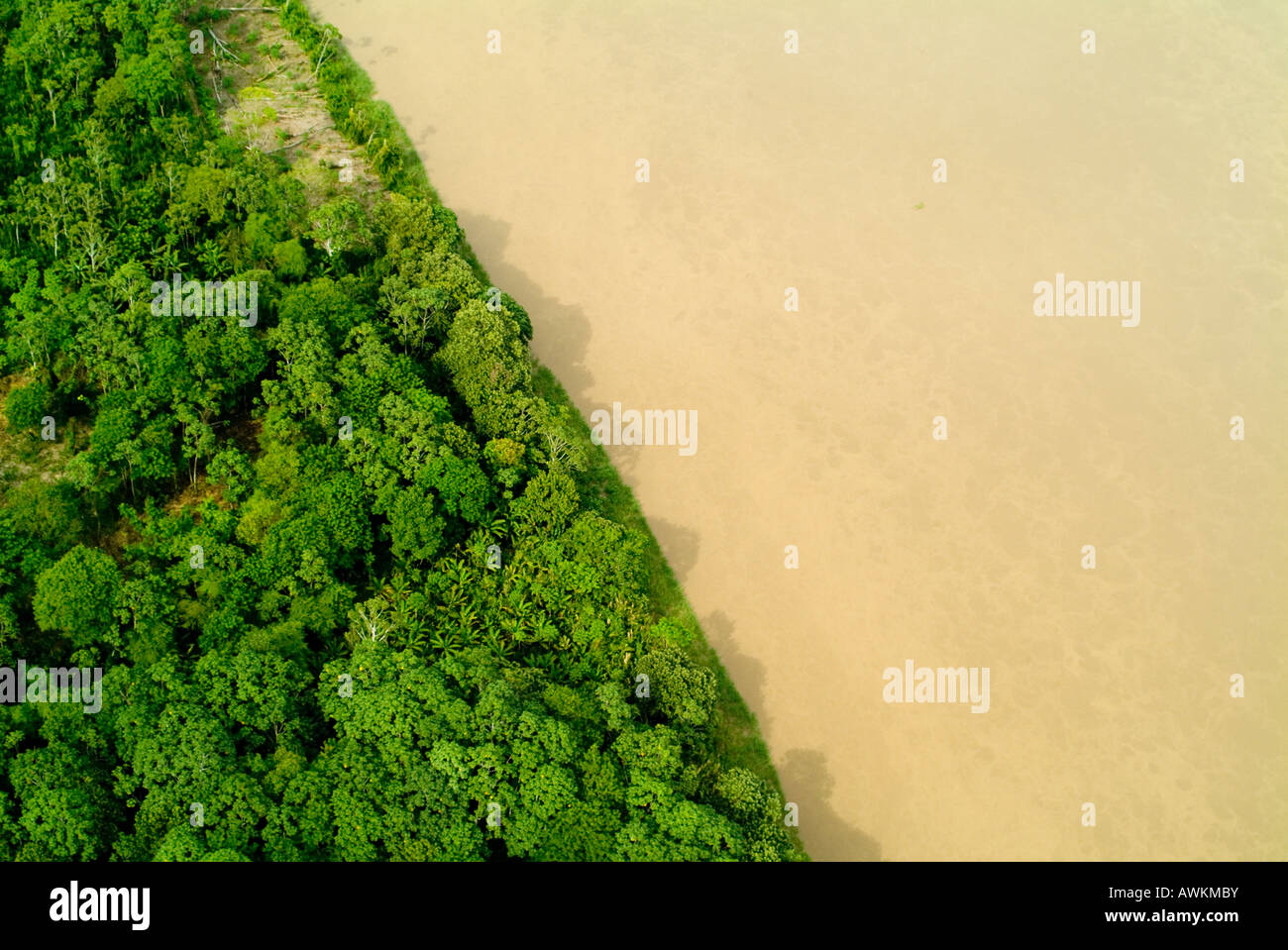 Amazon River aerial rainforest Stock Photo - Alamy