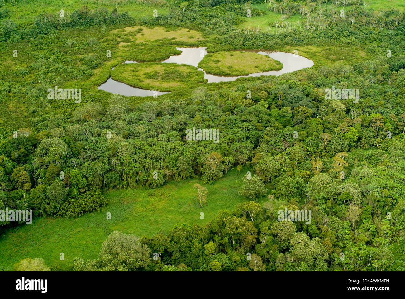 Amazon river floodplain aerial hi-res stock photography and images - Alamy