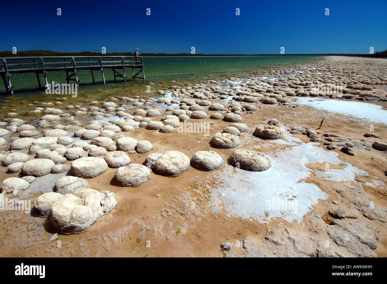 Tourist viewing ancient domed thrombolites from boardwalk on the shore ...