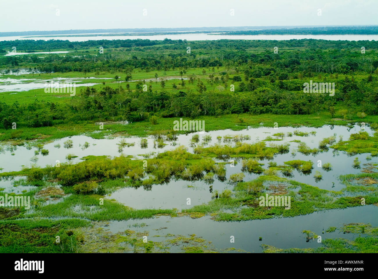 Amazon floodplane River aerial Stock Photo - Alamy