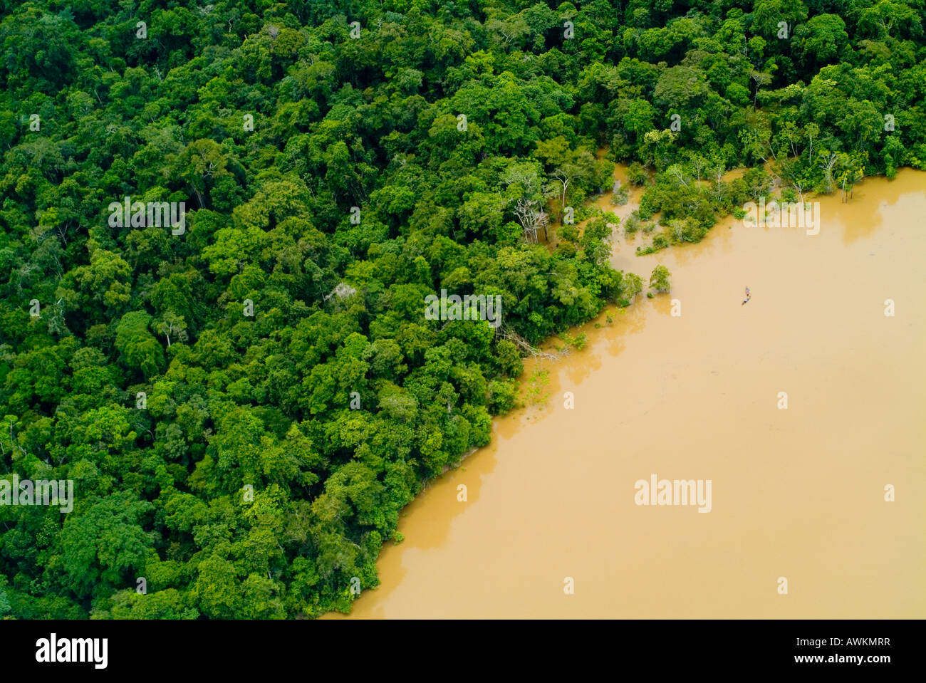 Amazon Rainforest and Yavari River aerial Stock Photo - Alamy