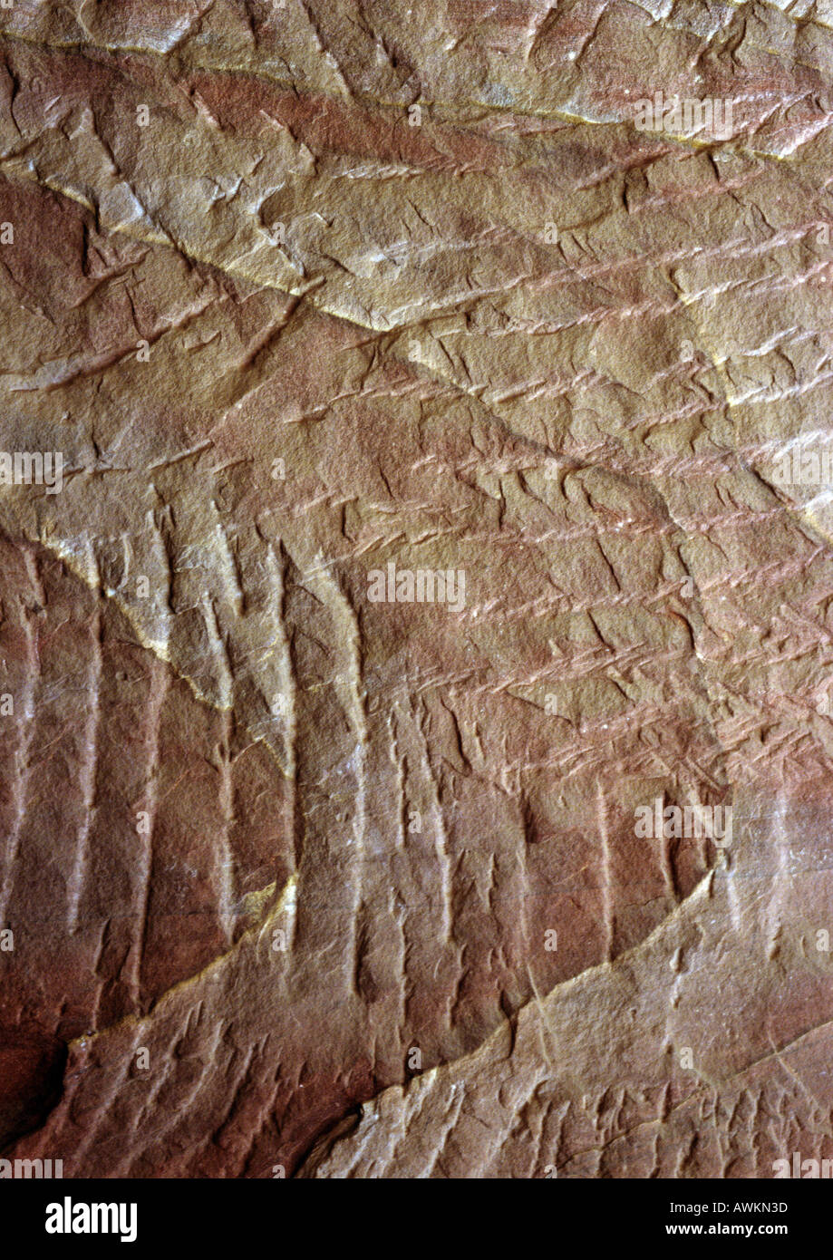 Gray textured surface backgrounds hi-res stock photography and images ...