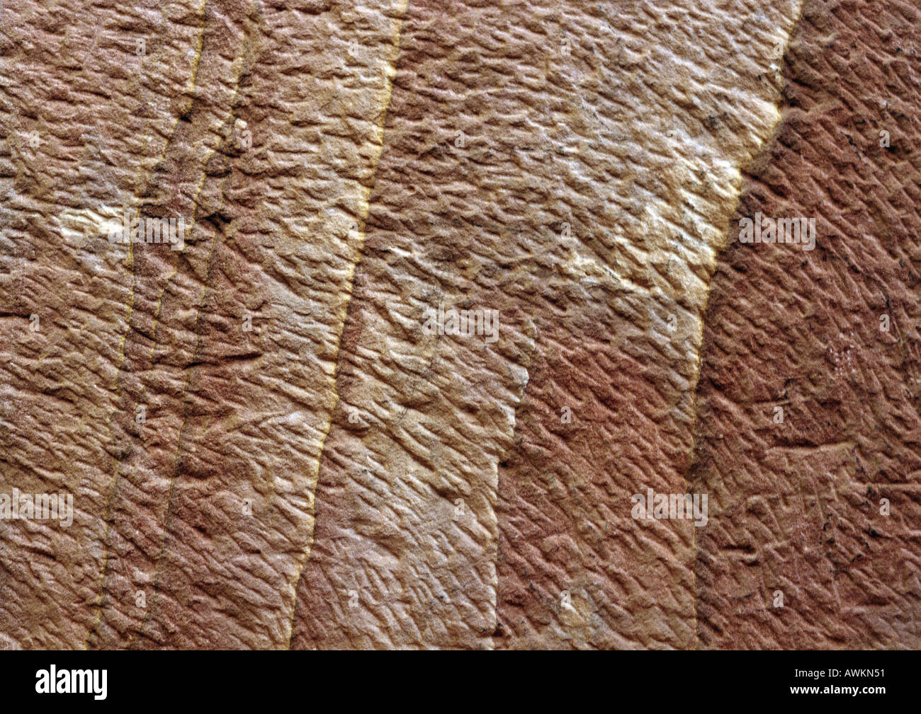 Stratified surface hi-res stock photography and images - Alamy
