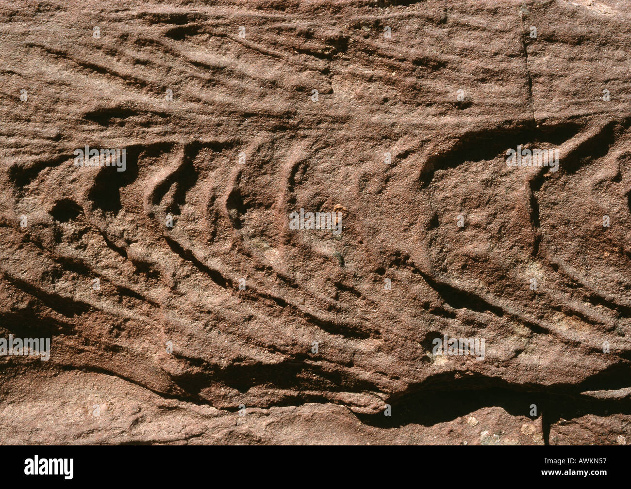 Bumpy surface close up full frame hi-res stock photography and images ...