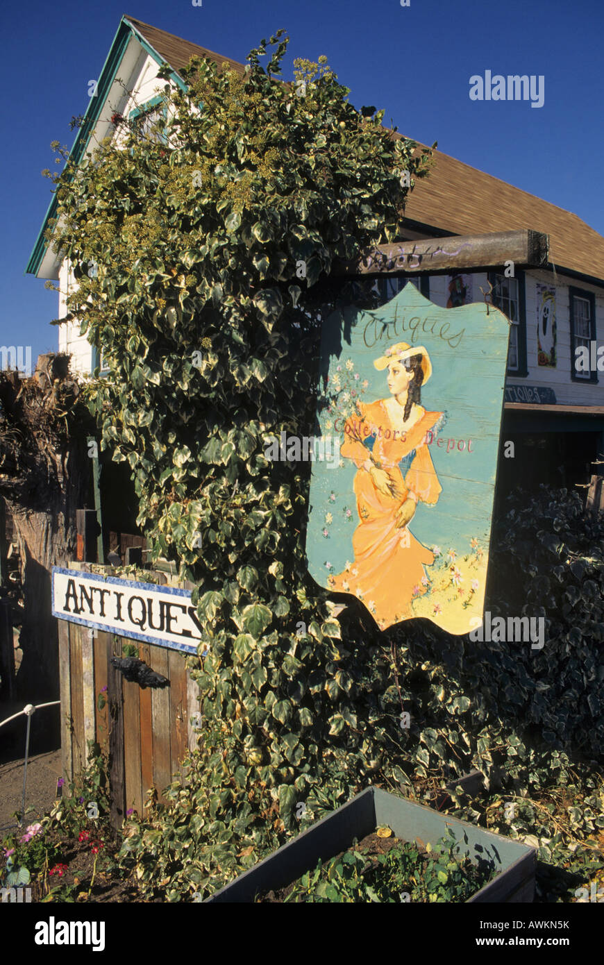 California Bodega antique store sign Stock Photo - Alamy