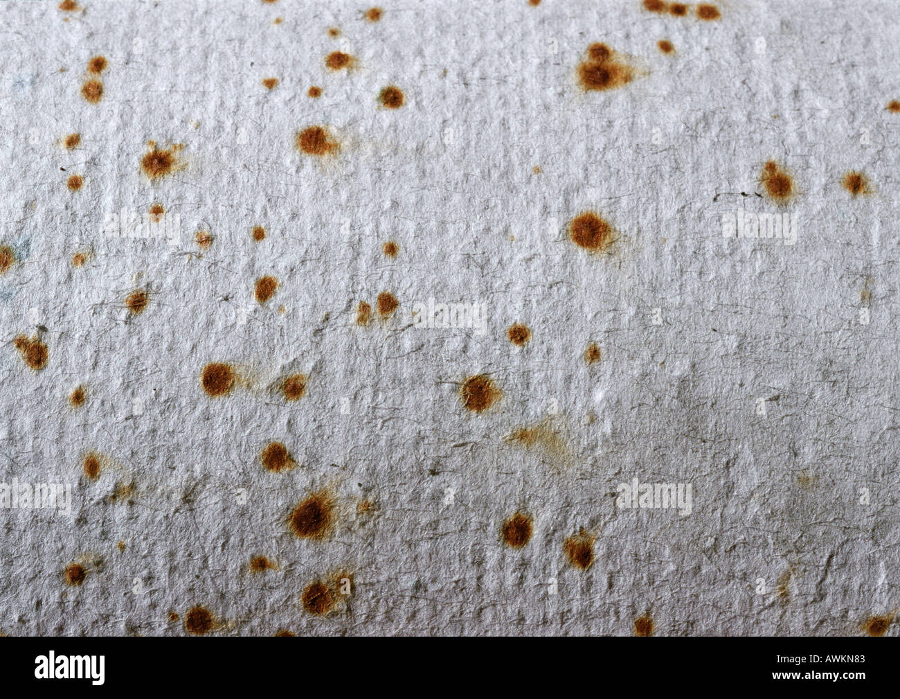 Paper with rust-colored spots, extreme close-up Stock Photo - Alamy