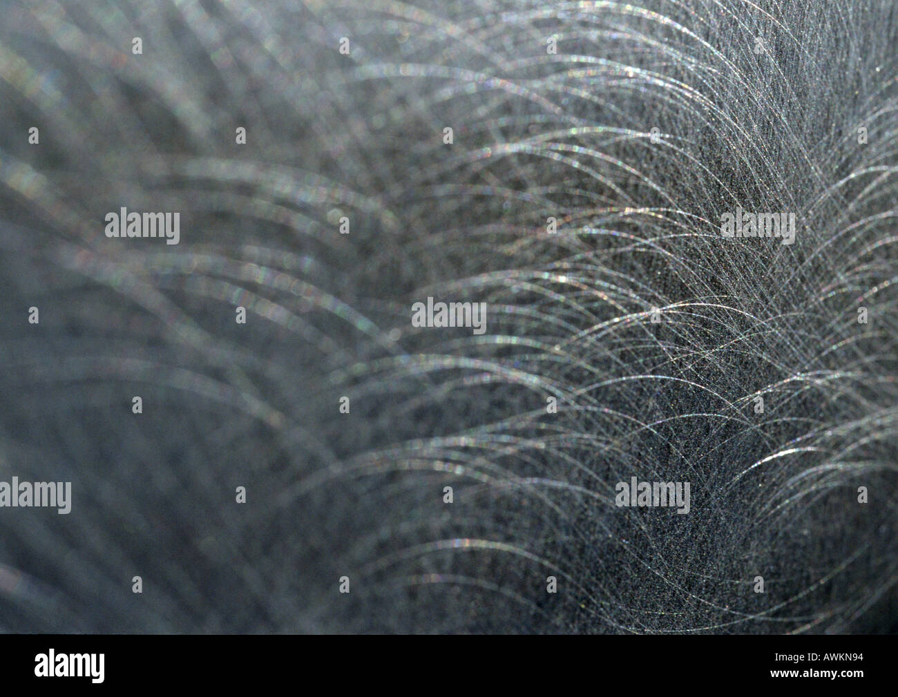 Brushed metal, close up Stock Photo - Alamy