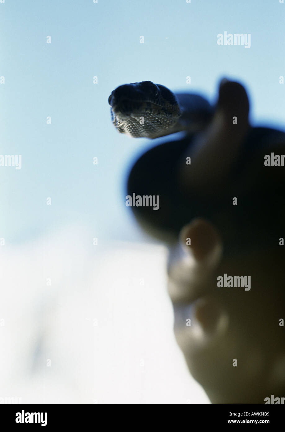 Dangers snake hi-res stock photography and images - Alamy