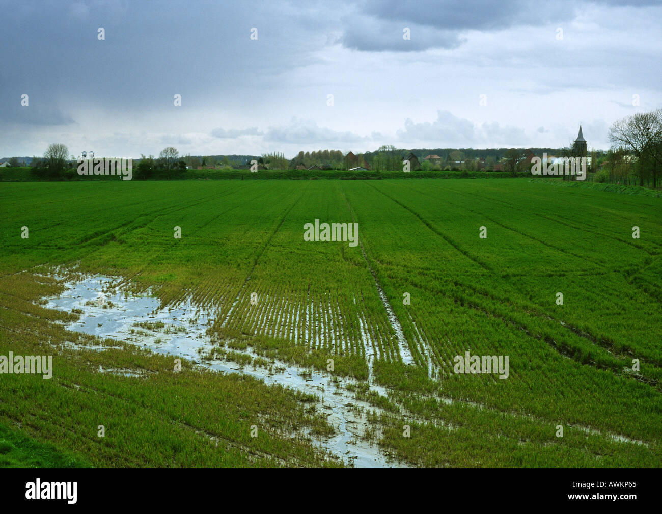 Puddles field crop hi-res stock photography and images - Alamy