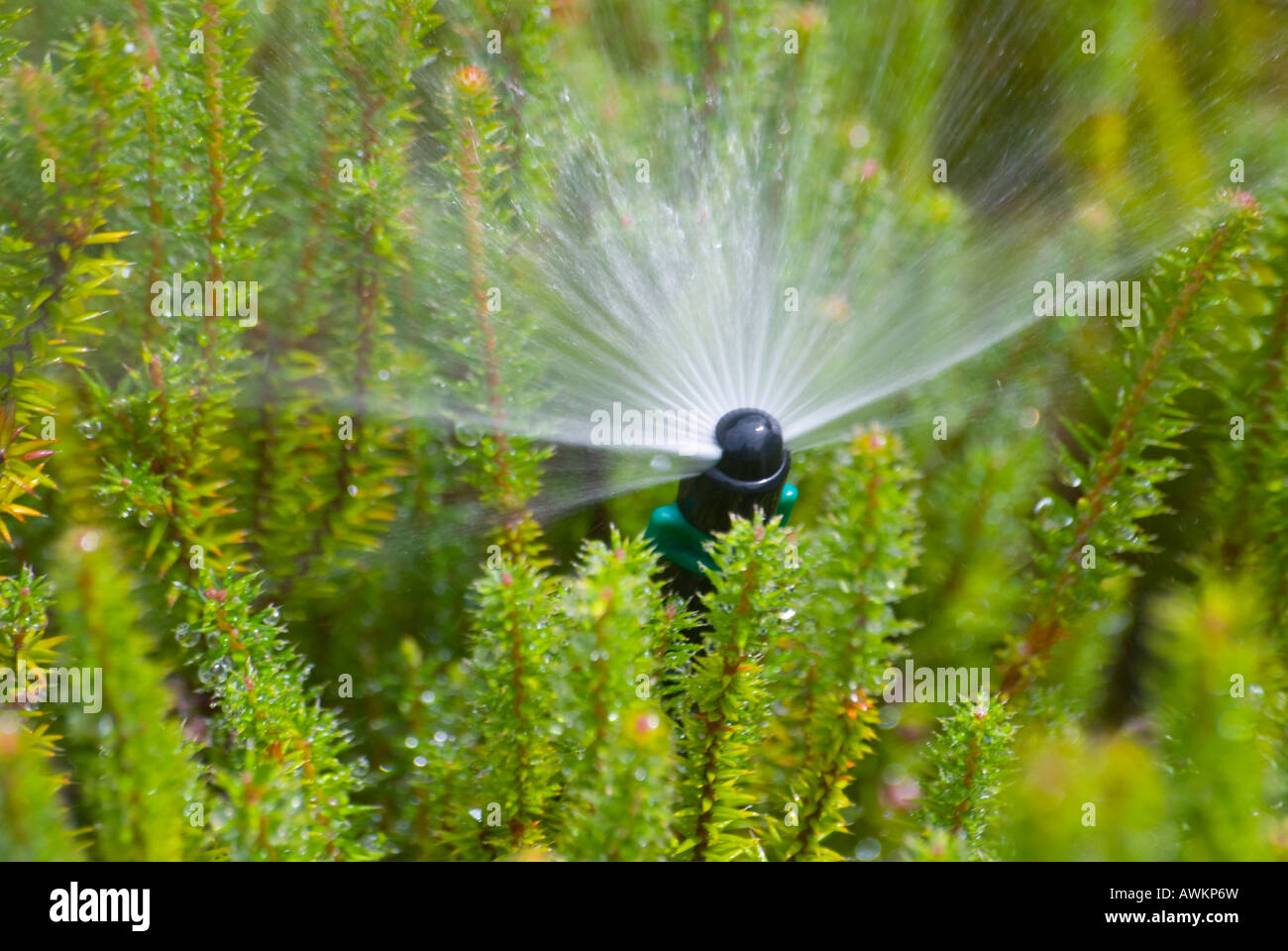 Automatic irrigation system hi-res stock photography and images - Alamy