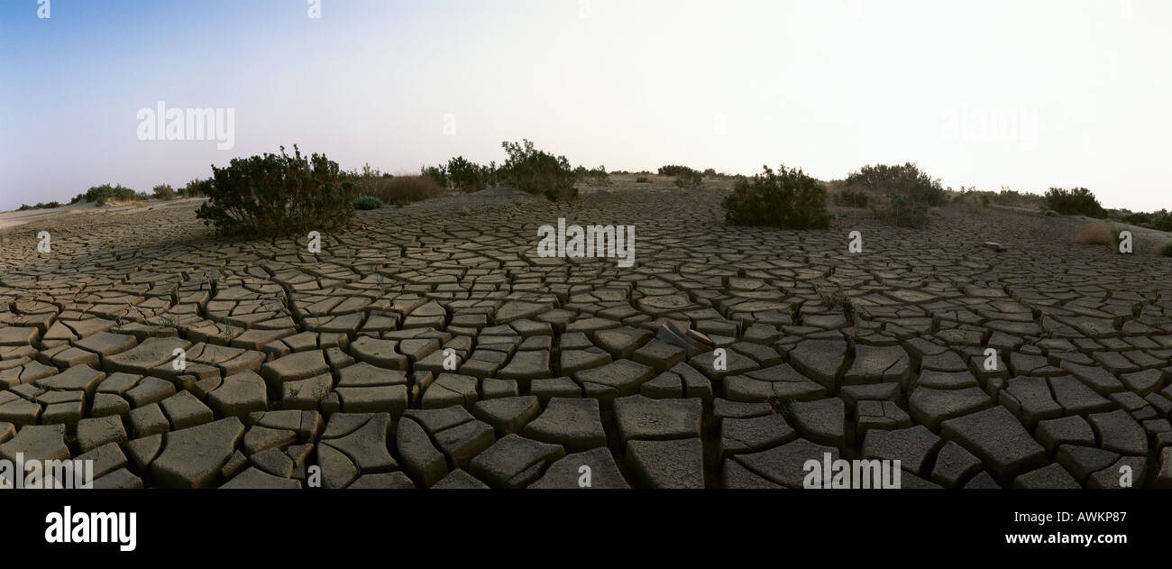 Tunisia, Sahara, cracked soil Stock Photo - Alamy