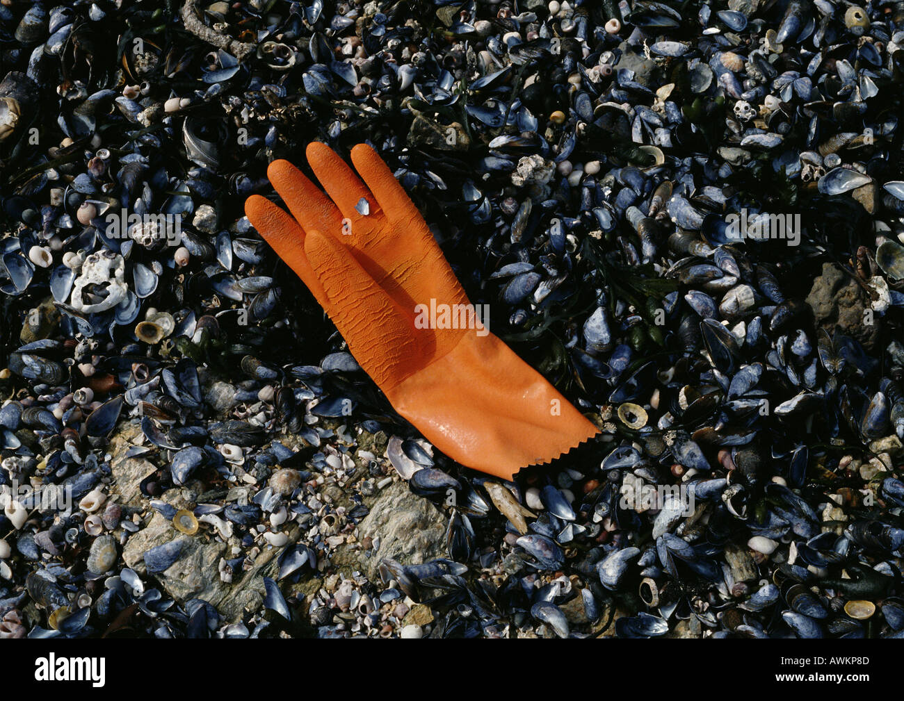 Rubber degradation hi-res stock photography and images - Alamy
