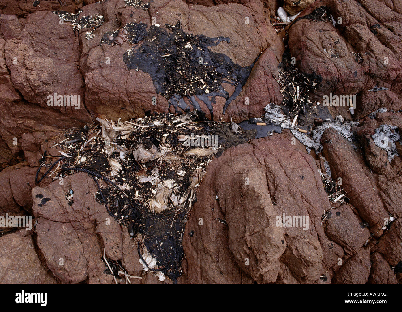 Rocks littered with tar and trash Stock Photo - Alamy