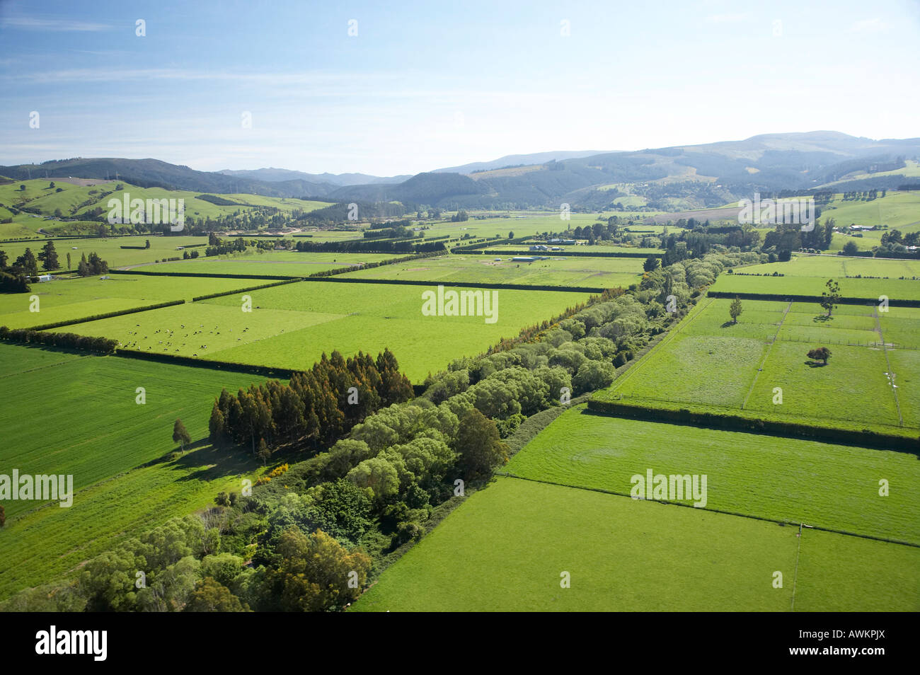 Farmland and Silverstream North Taieri Dunedin South Island New Zealand ...
