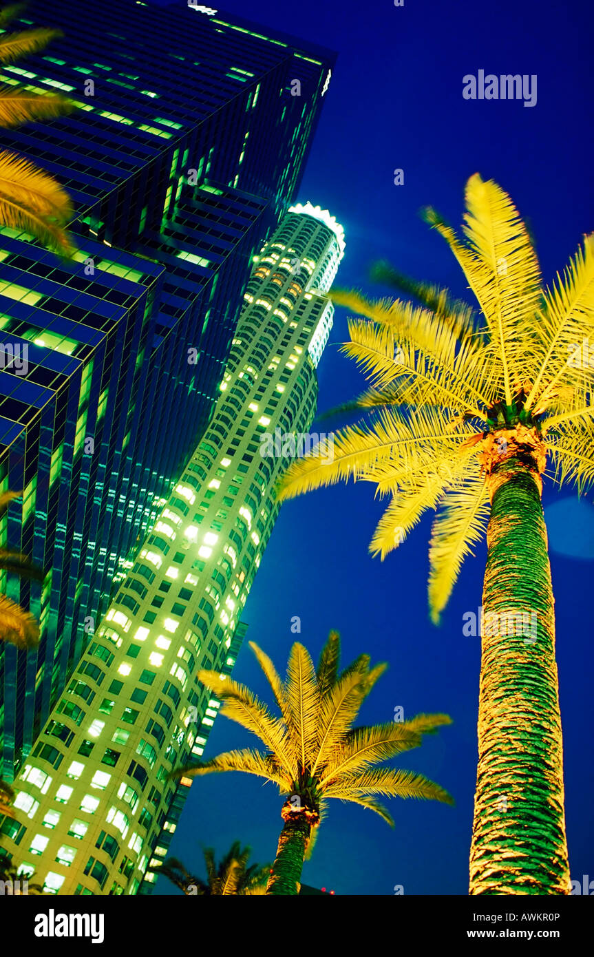 Palm trees and high rise buildings lit up at night in Los Angeles, California, USA Stock Photo ...