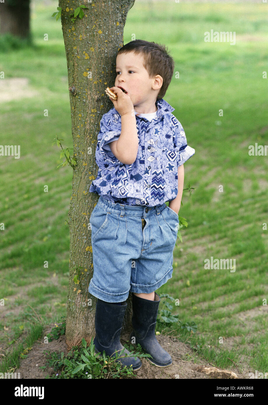 Boy hiding behind tree in hi-res stock photography and images - Alamy