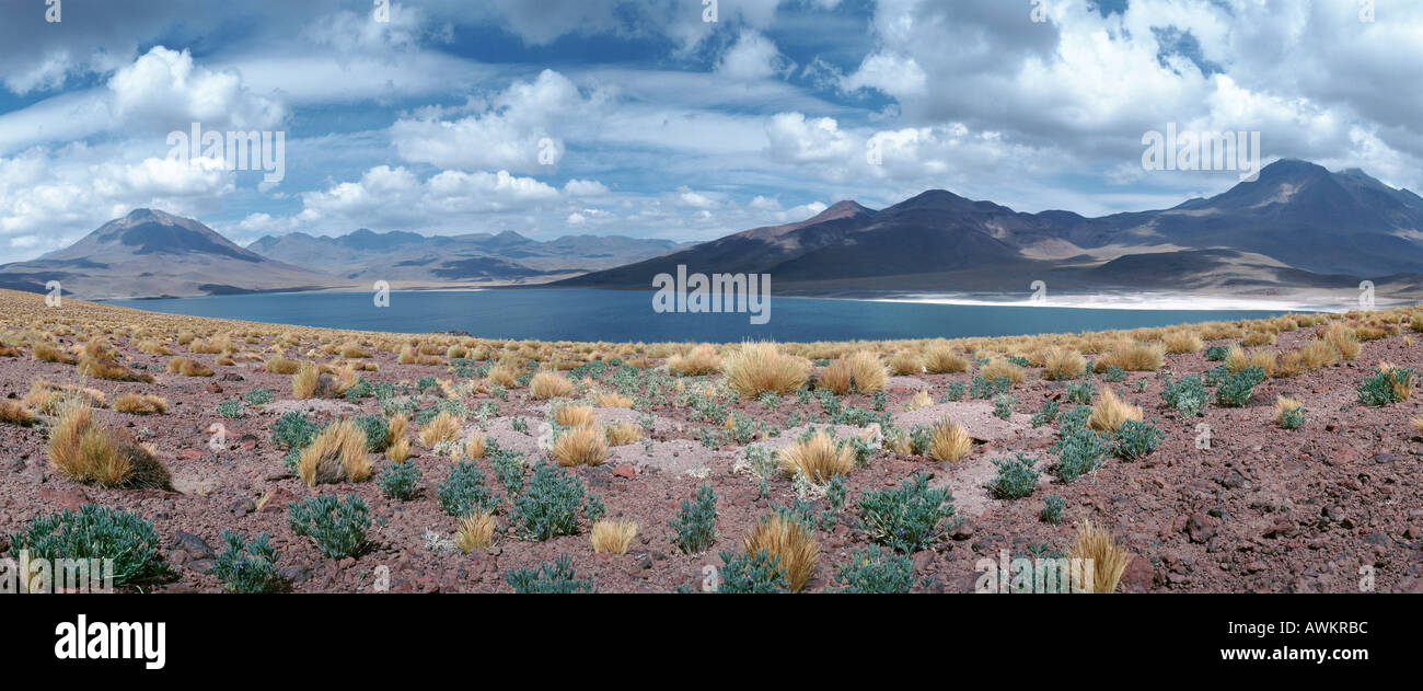 Chile, landscape with lake and mountains, panoramic view Stock Photo ...