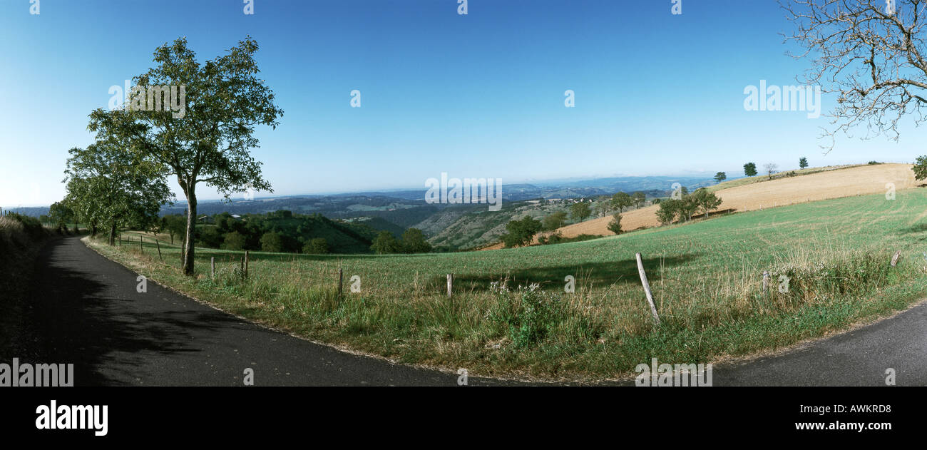 Countryside road along trees without leaves behind wire livestock fence ...