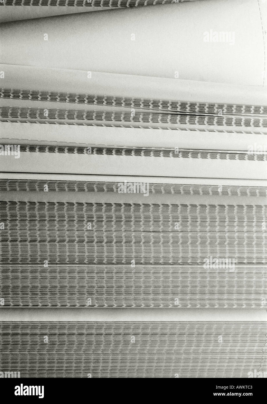 Computer paper, close-up Stock Photo - Alamy