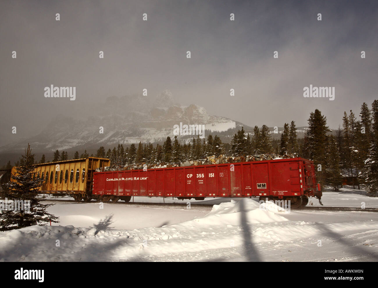 Train passing road crossing in Alberta Stock Photo - Alamy