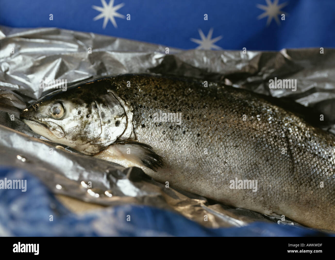 Salmon colored paper hi-res stock photography and images - Alamy