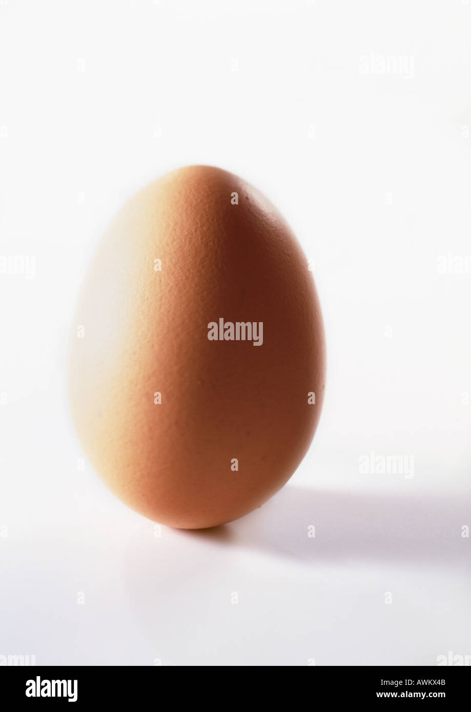 1 hard boiled egg hi-res stock photography and images - Alamy