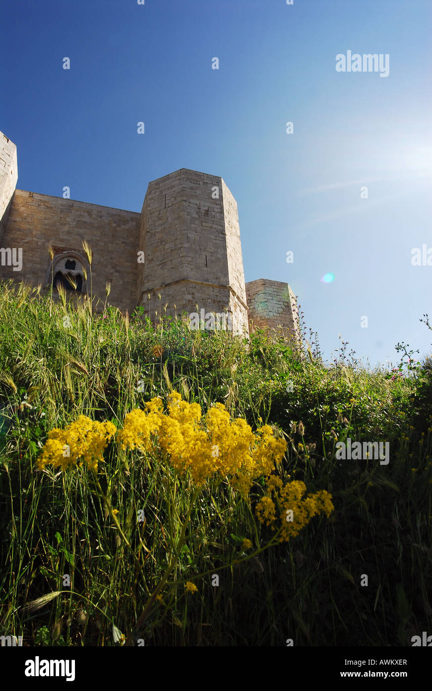 Castel del Monte - Andria Puglia Italia - Europe South Italy World ...